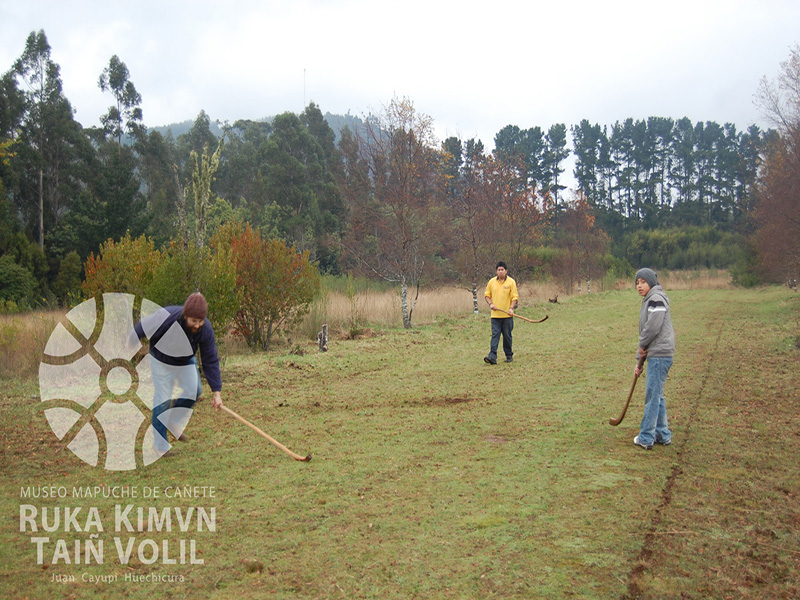 WEXIPANTU | Museo Mapuche de Cañete
