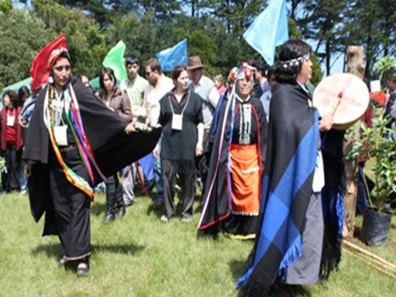 Nguillatun en noviembre en el Museo Mapuche | Museo Mapuche de Cañete